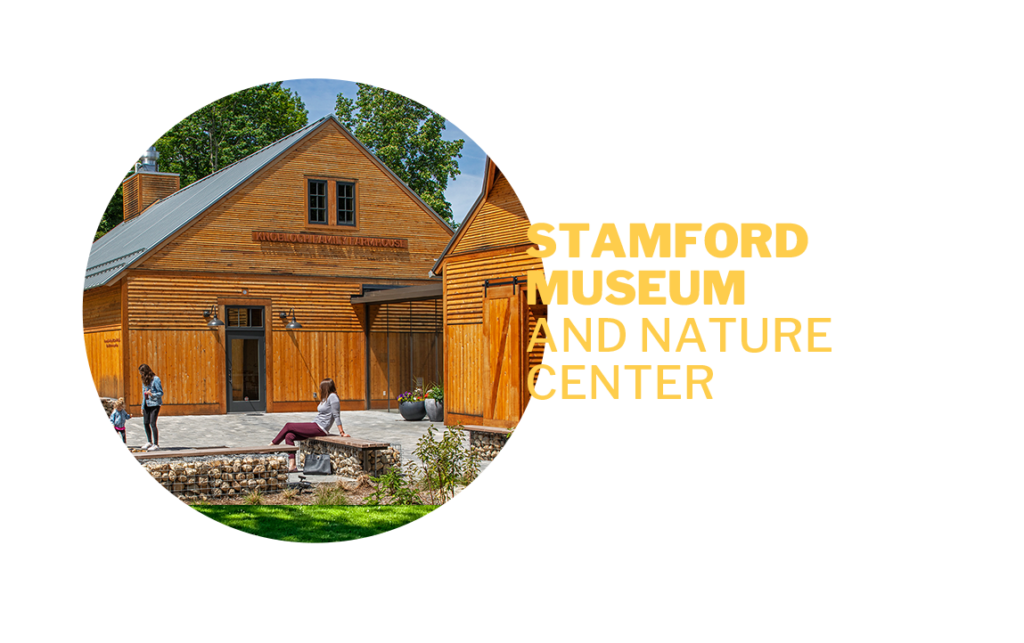 Inside the Bassoon with Cynde Iverson – Orchestra LUMOS